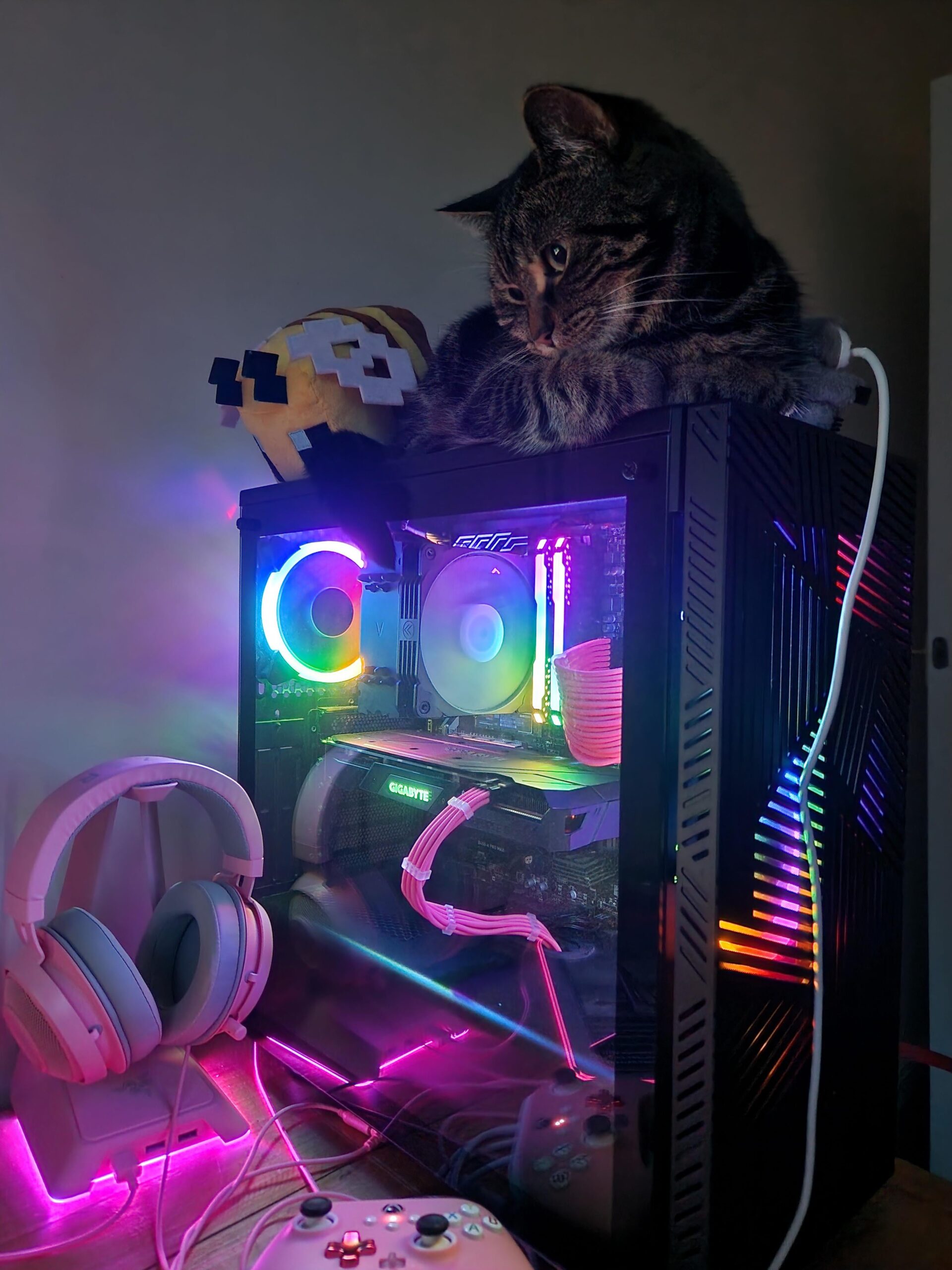 New heater for my cat - FPSHUB | FPS GAMES HUB |FPS GAMING HUB