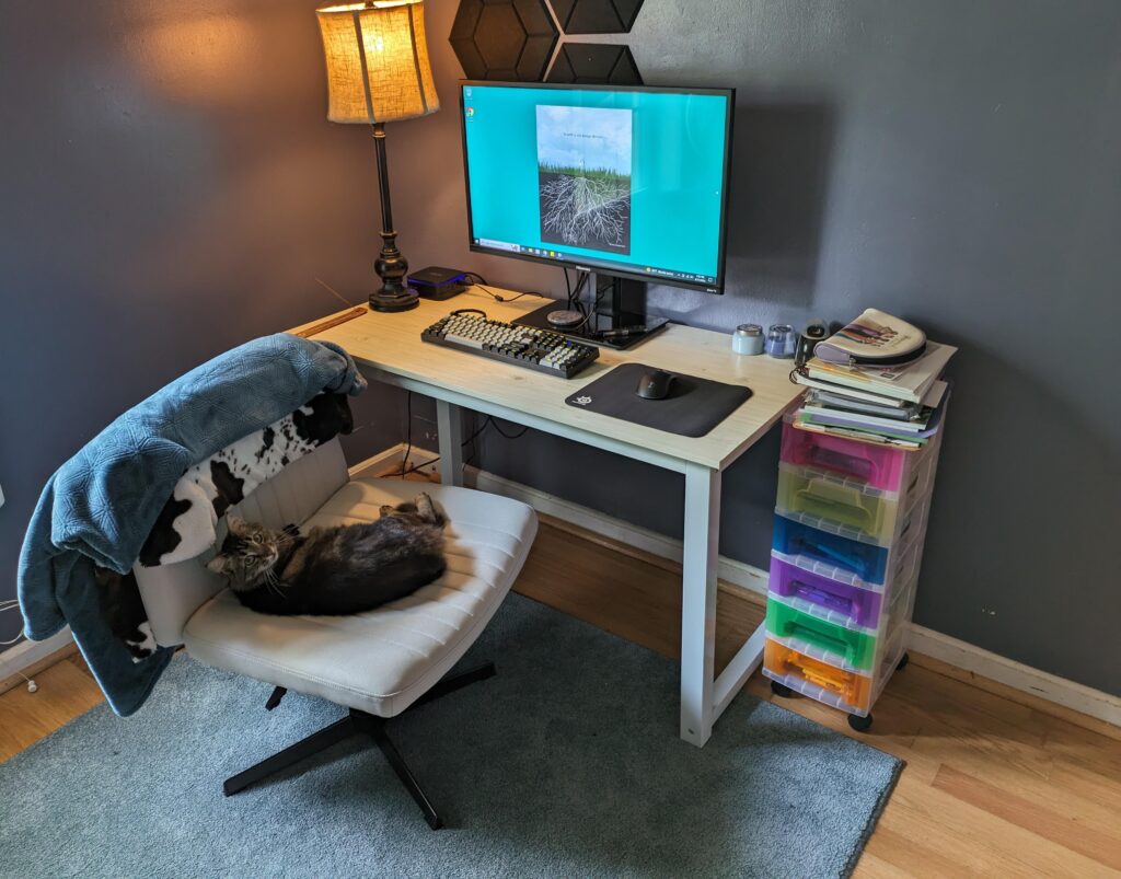 Finally got my girlfriend a nice little workspace across from mine ...